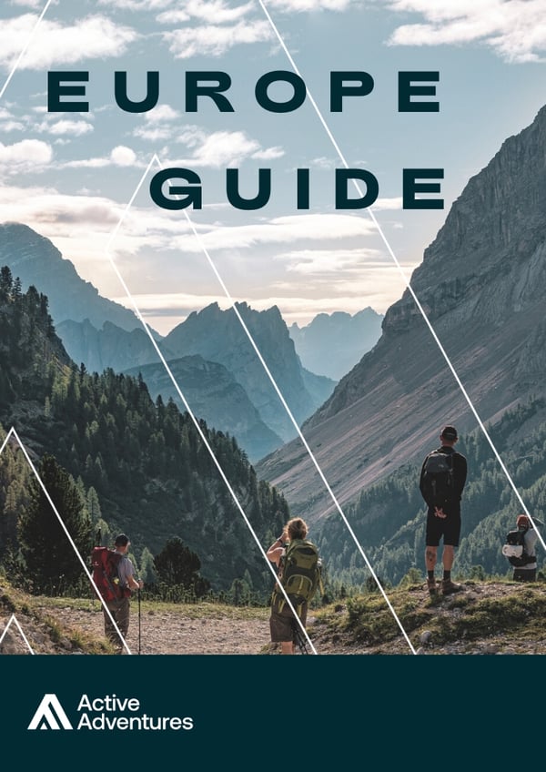 Travel Advisors Webinars